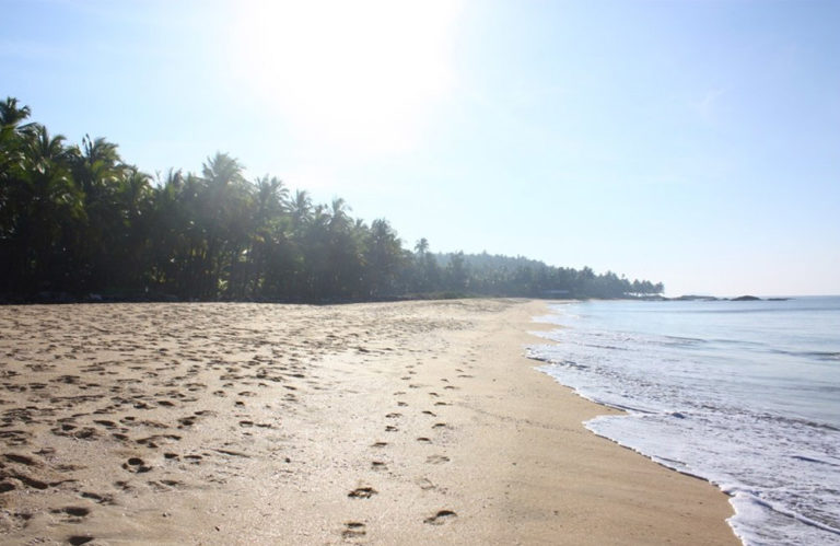 Thottada Beach House - Most lovely and best beach house in kerala